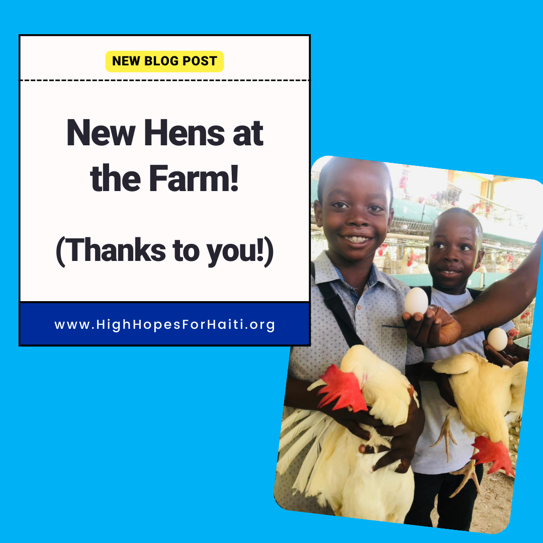 New Hens at the Farm! » High Hopes For Haiti